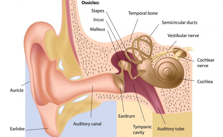 Stapedotomy in Pune | Dr. Seemab Shaikh | Advanced Ear Surgery